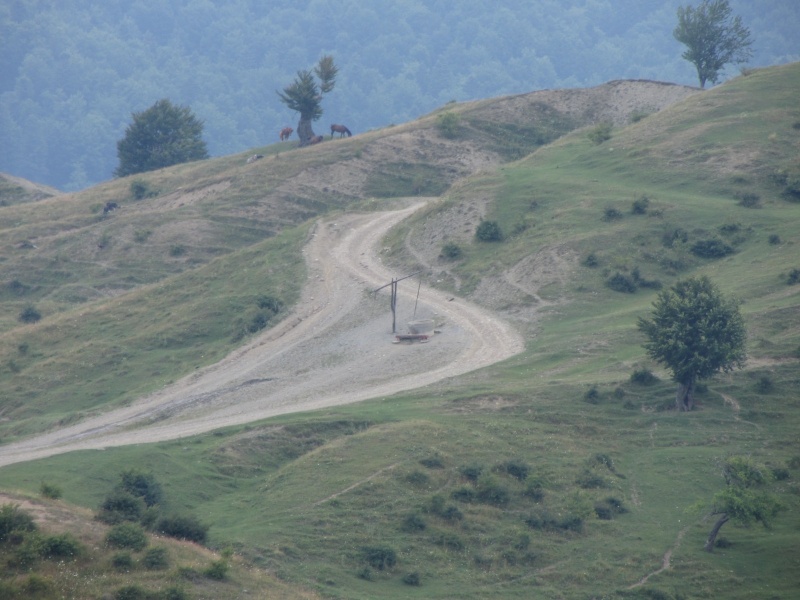 Fântâna cu cumpăna de lemn și crucea părăsită