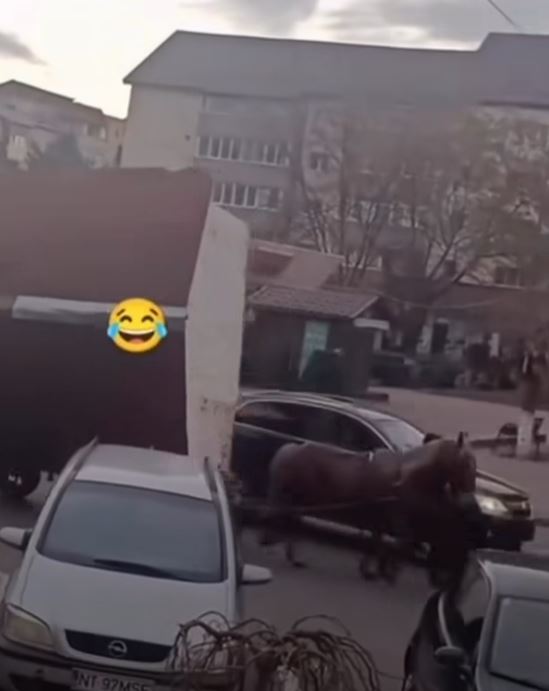 Video. Nomazi cu casa în căruță în centrul orașului Târgu-Neamț